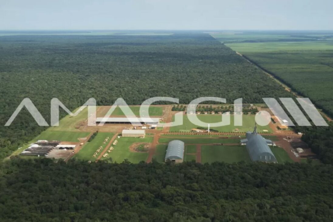 Multinacional brasileira Amaggi, uma das maiores empresas do Brasil ...