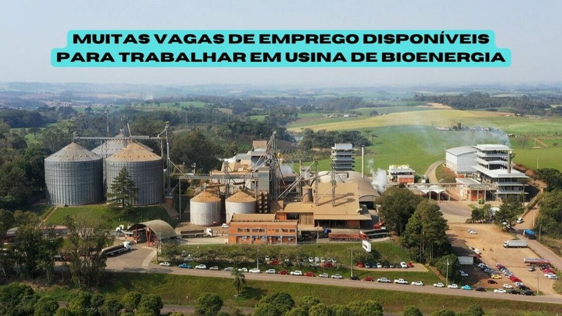 Bioenergy plant has job openings for welders, operators, electricians ...
