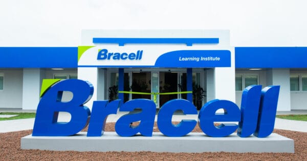 Bracell, uma das maiores produtoras de celulose, possui diversas vagas ...