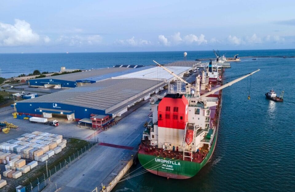 Portocel alcança marcas inéditas em 2023 com expansão e novas parcerias ...