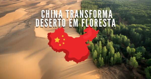 Com 3 mil quilômetros de florestas, China transforma o deserto de ...