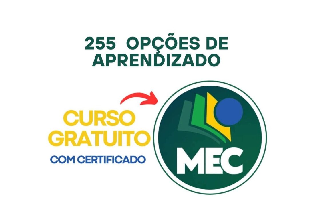 255 cursos gratuitos com certificado do MEC! Qualificação online e ...