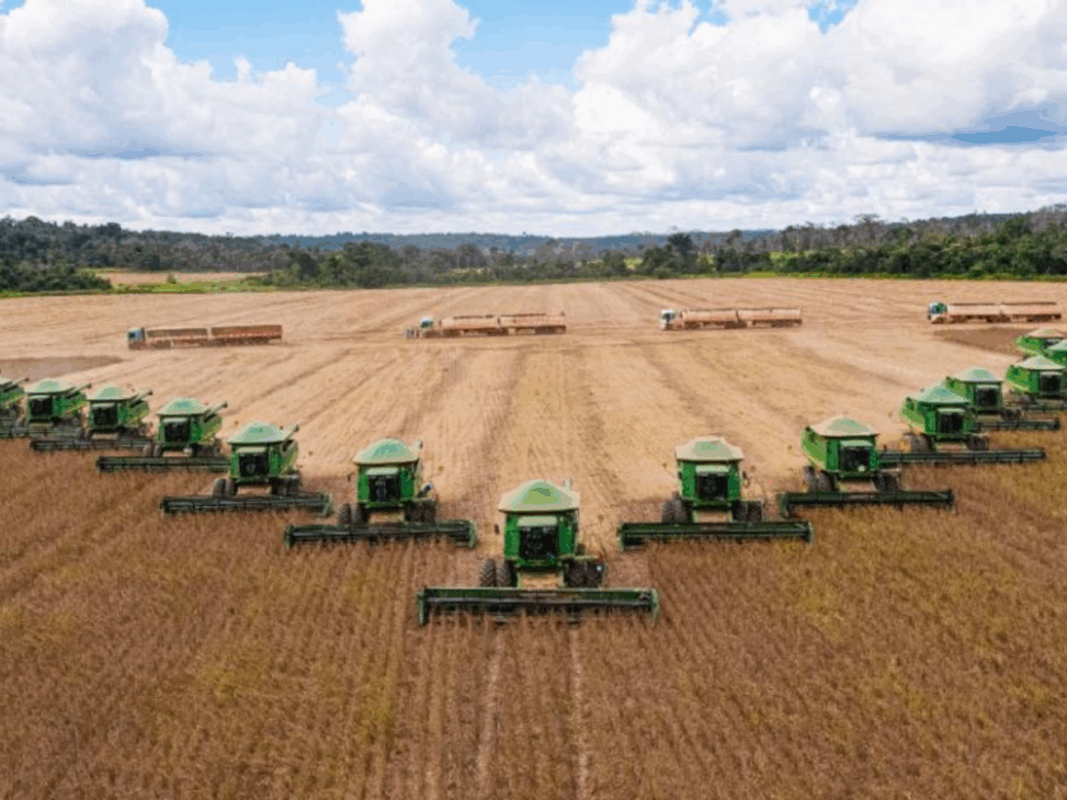 A enorme fazenda bom futuro: com seus mais de 650 mil hectares, planta ...