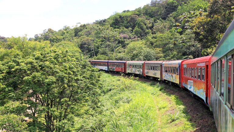 Viagem de trem no Brasil cruza pontes e túneis de 140 anos na Serra do ...