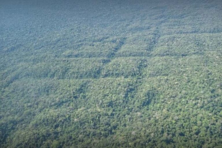 Ratanabá, a “capital do mundo”? A teoria da cidade perdida na Amazônia ...
