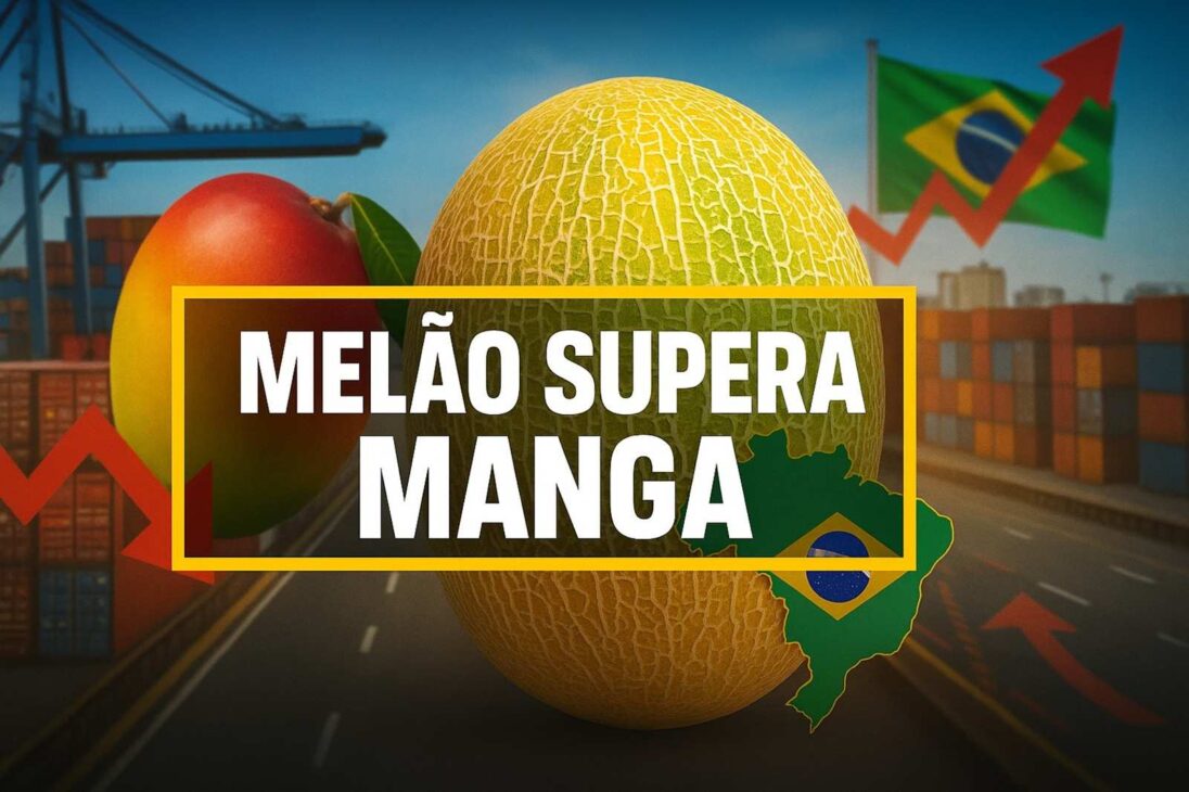 Nordeste domina o mercado: Melão deixa manga para trás e vira a fruta ...