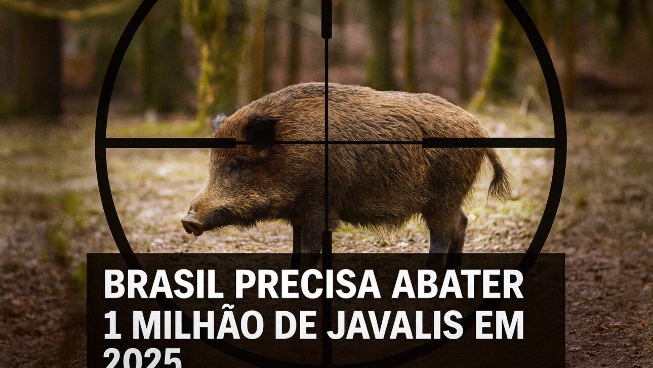 Javalis avançam no Brasil e já há debate sobre pagar caçadores ...