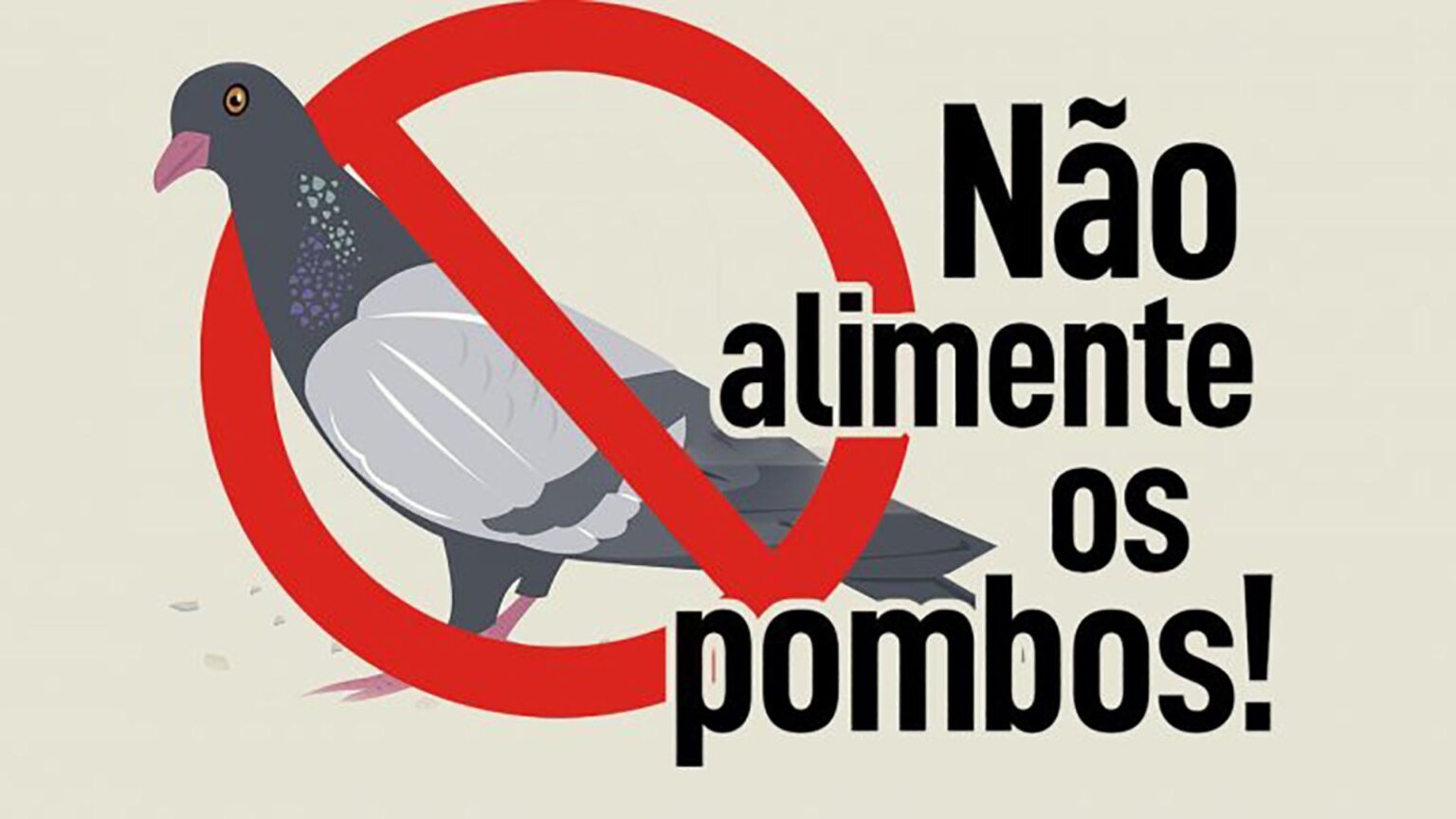 Multas de até R$ 1 mil para quem alimenta pombos em praças e calçadas ...