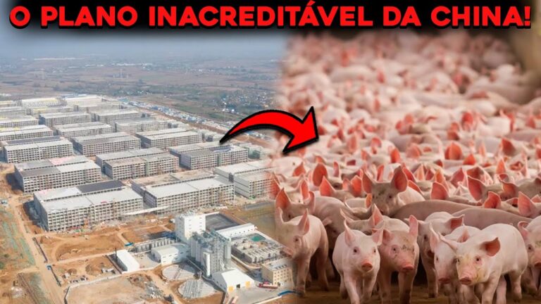 Com prédios de até 26 andares e capacidade para mais de 1 milhão de ...