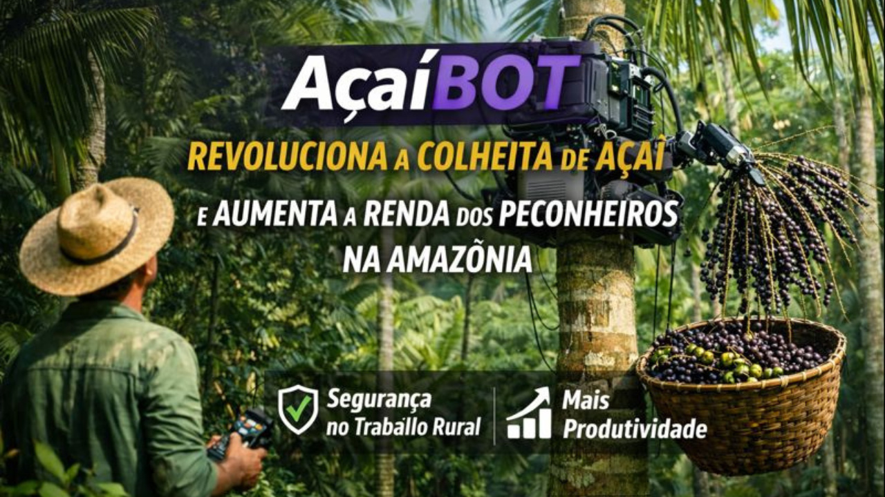 Açaíbot revolutionizes açaí harvesting and increases income for açaí ...