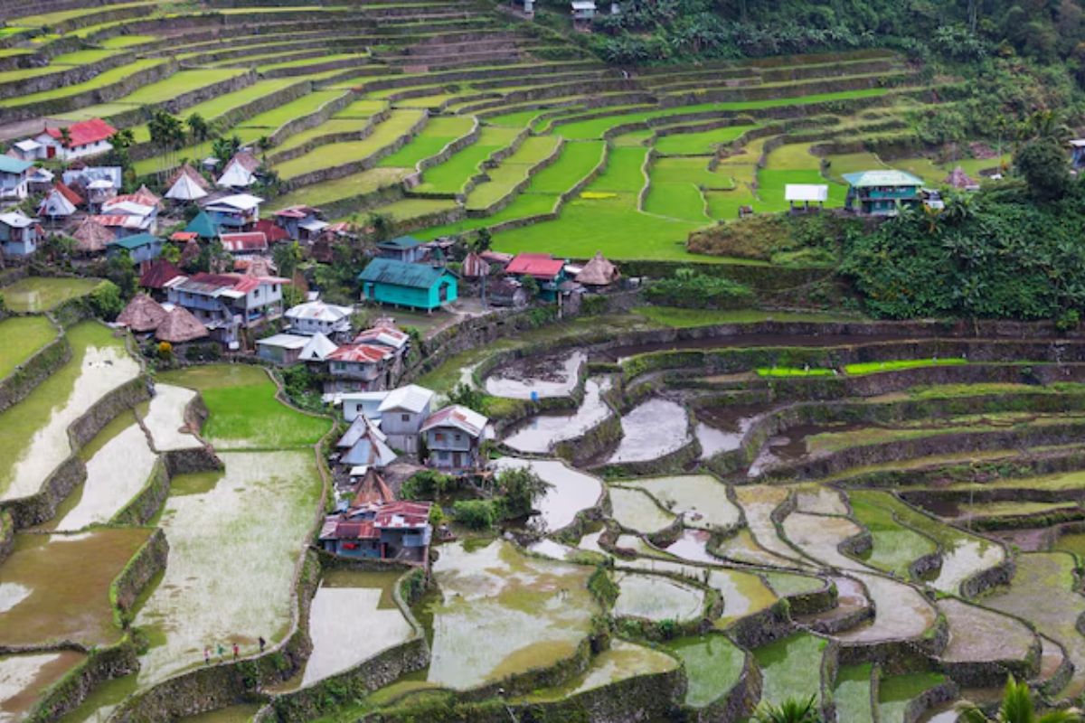 As maravilhas naturais mais impressionantes da Terra revelam paisagens ...