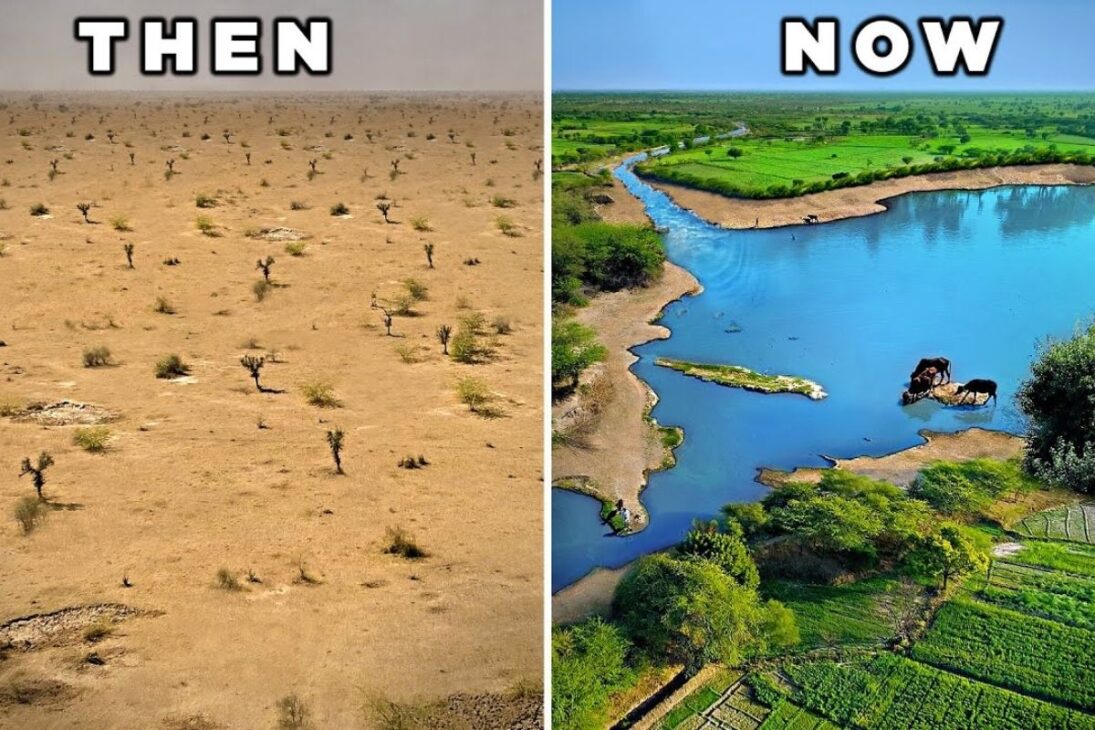 Laporiya transforma terra árida de um estado na Índia em paisagem ...
