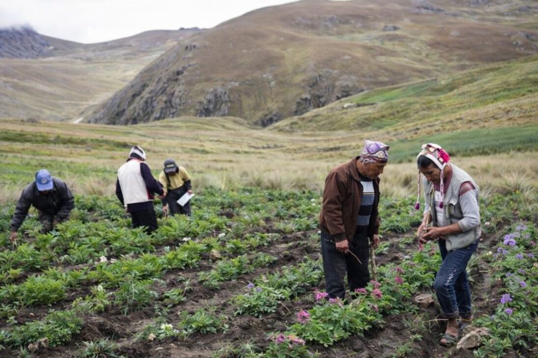 Segredo guardado nos Andes do Peru revela comunidades indígenas que ...
