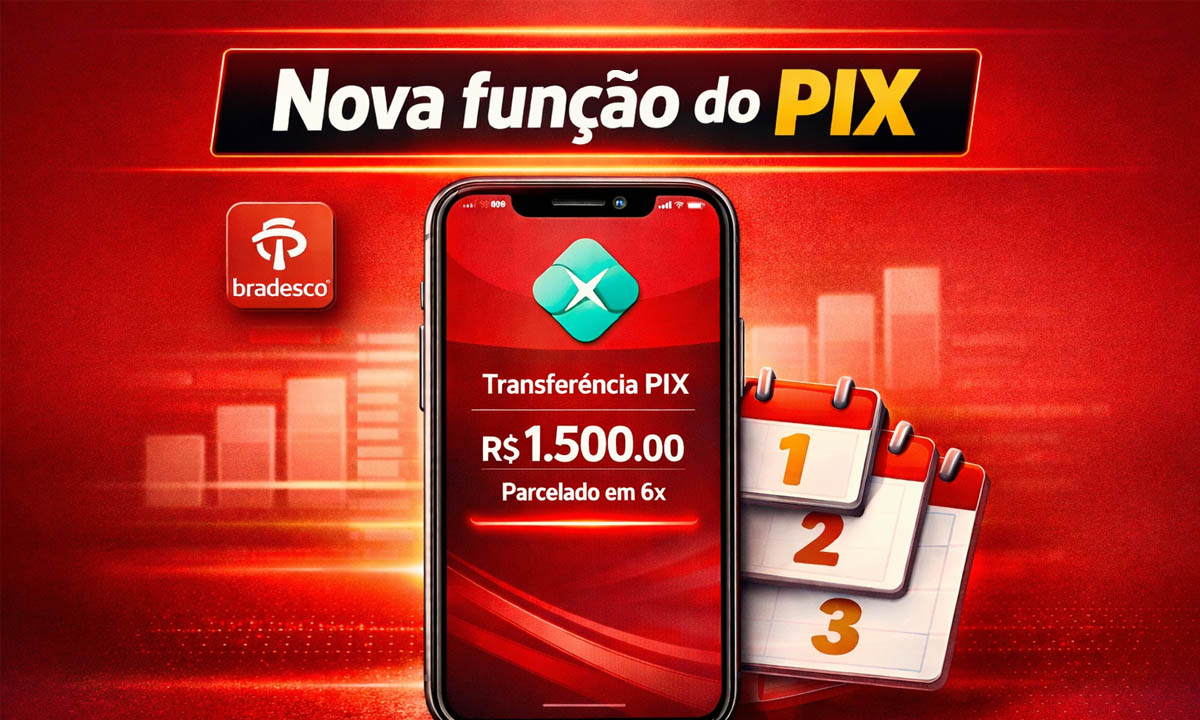 Bradesco lança Pix com Crédito: nova função libera parcelamento direto ...