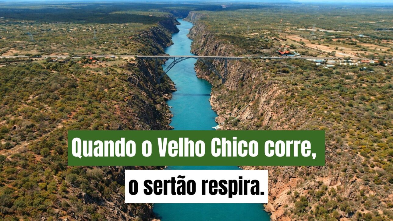 Há mais de 3 mil quilômetros, o Velho Chico cruza o sertão como linha ...