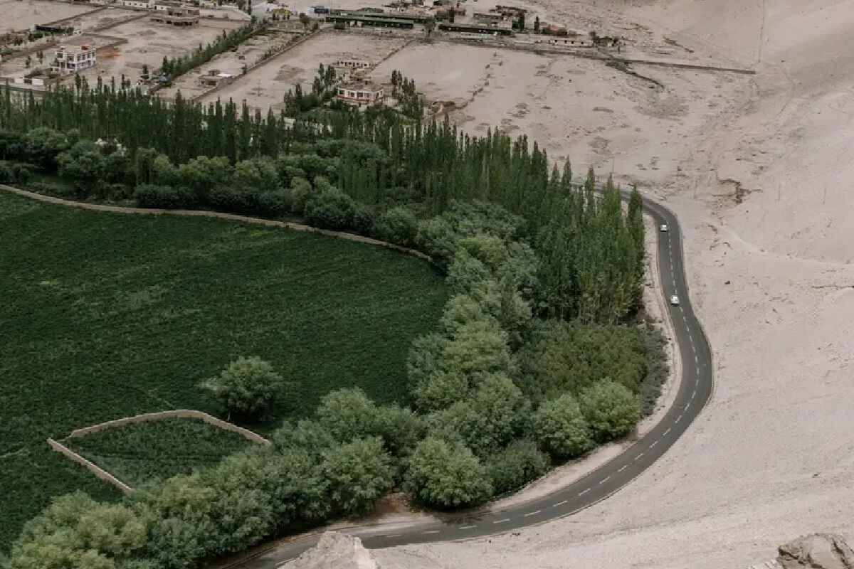 China plantou árvores para barrar o Deserto de Gobi, mas calculou mal ...