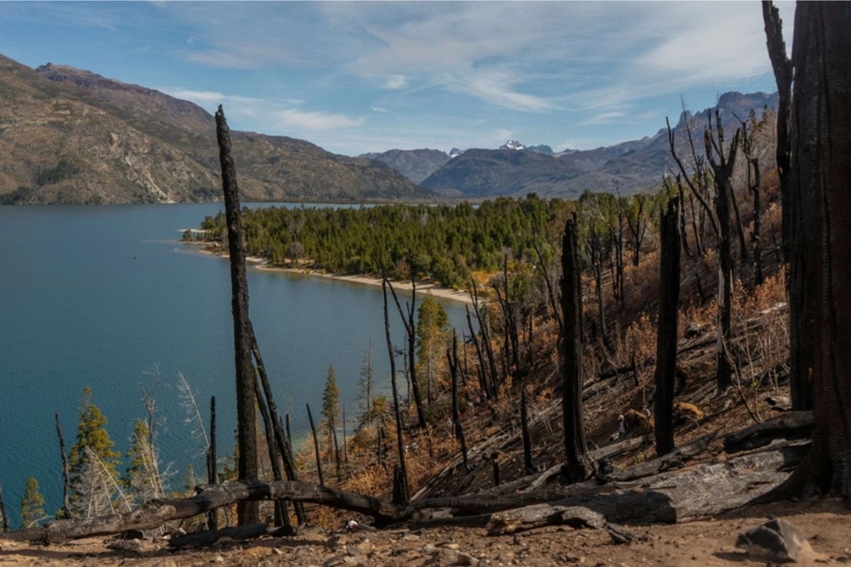 Forest fires in Patagonia are becoming an environmental threat to the ...