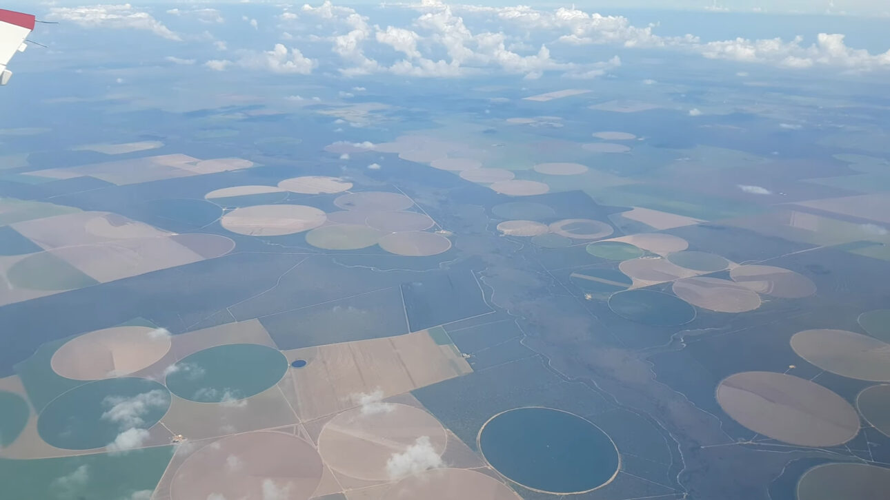 Com cerca de 73 milhões de hectares e mais de 4,8 milhões plantados com ...