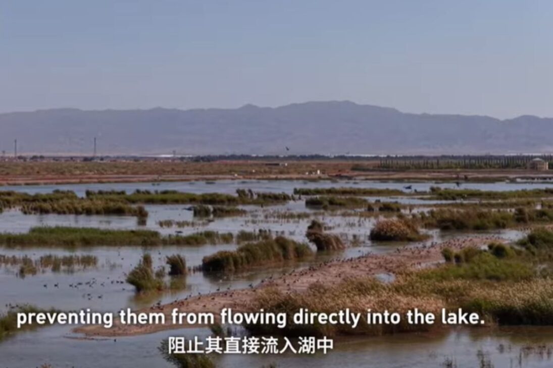 Engenharia contra o deserto: China instala grades de palha e ...