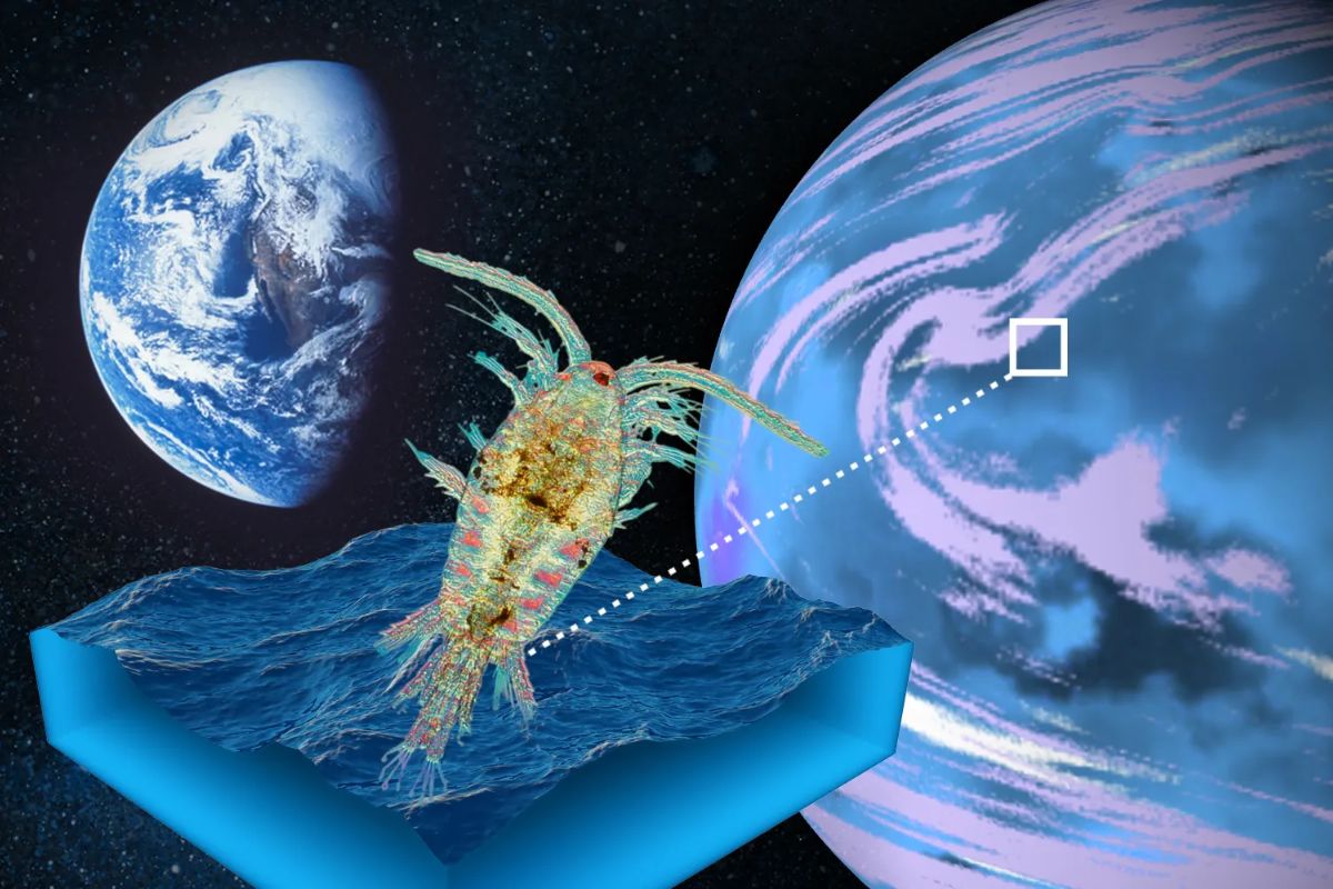 O que o telescópio James Webb encontrou no planeta K2-18b está deixando ...