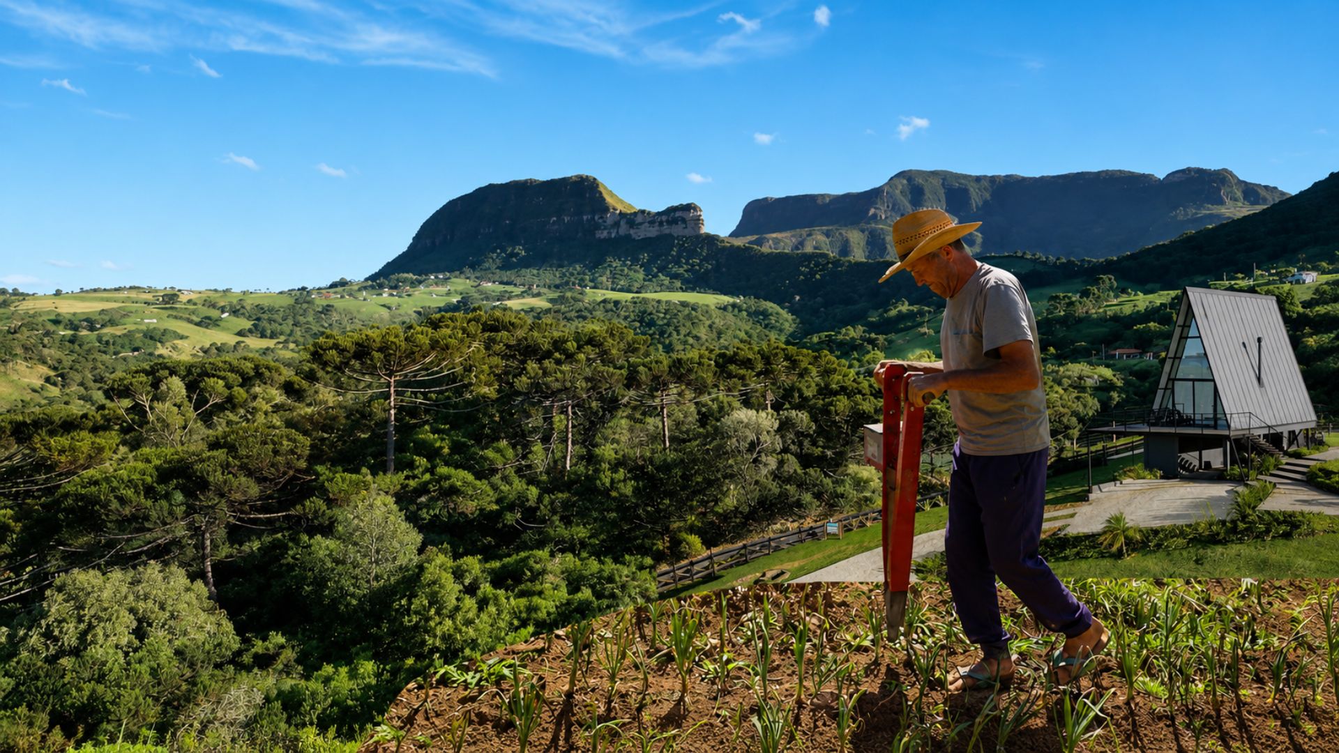Há cerca de 20 anos, Seu Alvarino comprou 15 hectares de pedra e mato ...